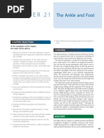 MTP and IP Joint Overview in Foot | PDF | Foot | Toe