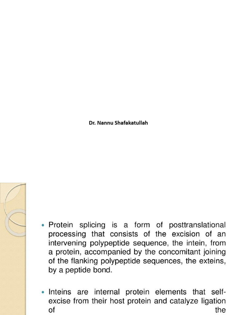 Protein Splicing | PDF | Macromolecules | Biomolecules