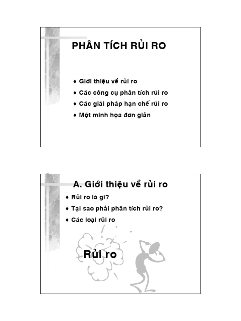 Phan Tich Rui Ro | PDF