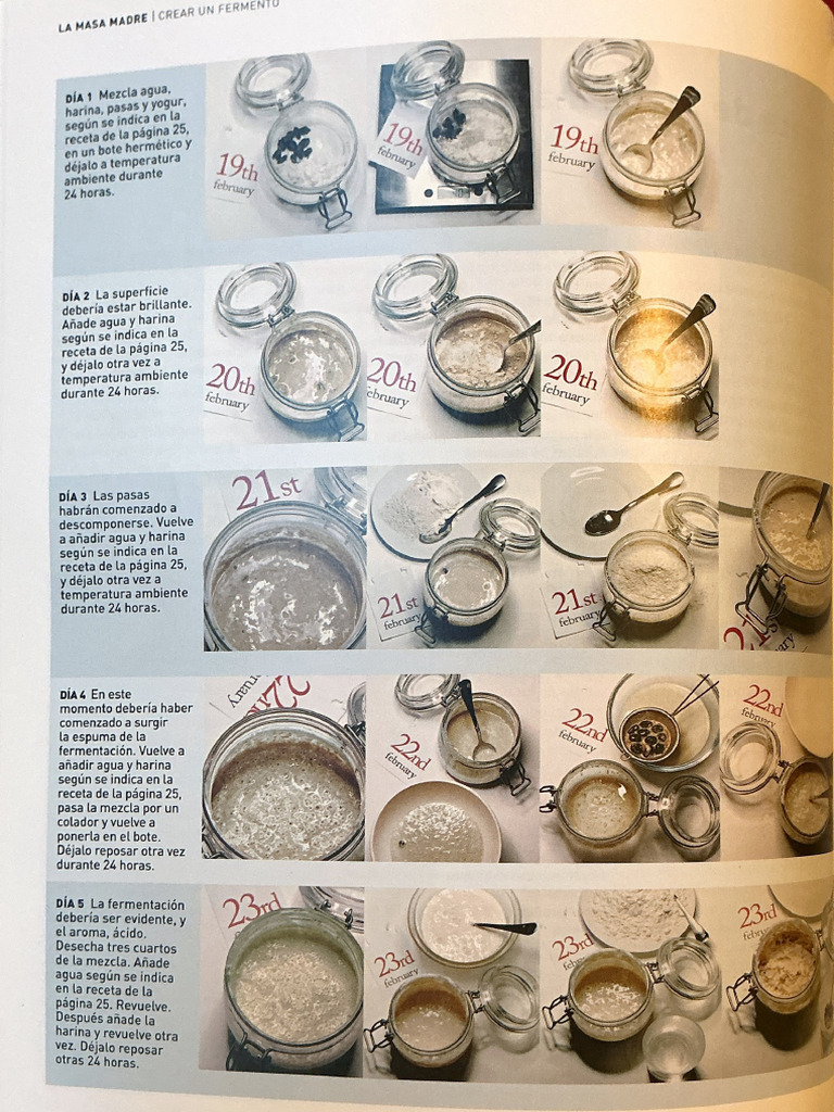 2026-01-15 15-15 página 7 | PDF