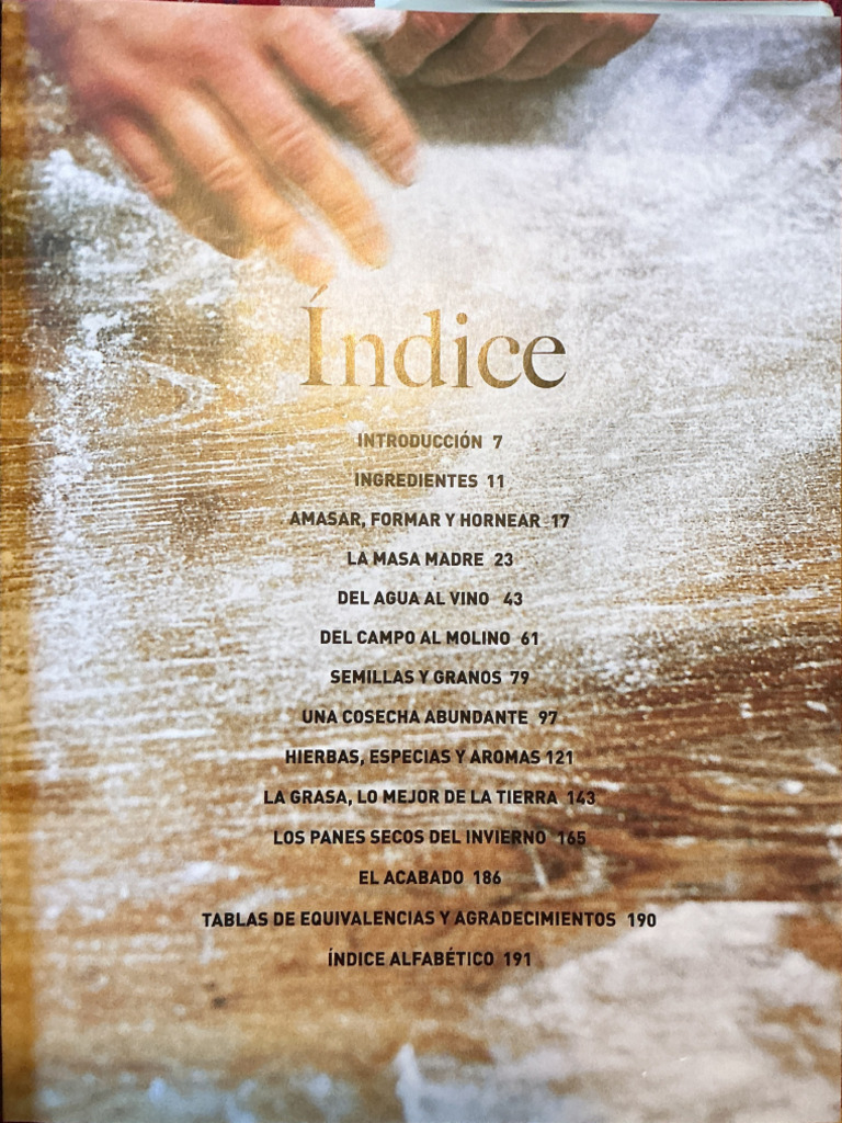 2026-01-15 15-15 página 2 | PDF