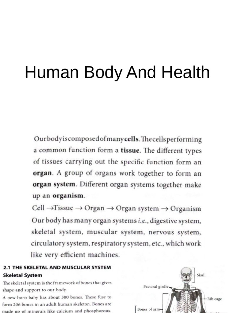Human Body and Health | PDF