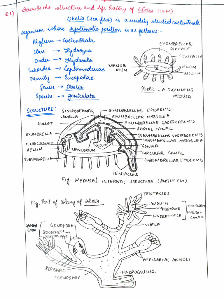 Day 8 - Ratna - Zoology | PDF | Venomous Animals | Aquatic Animals