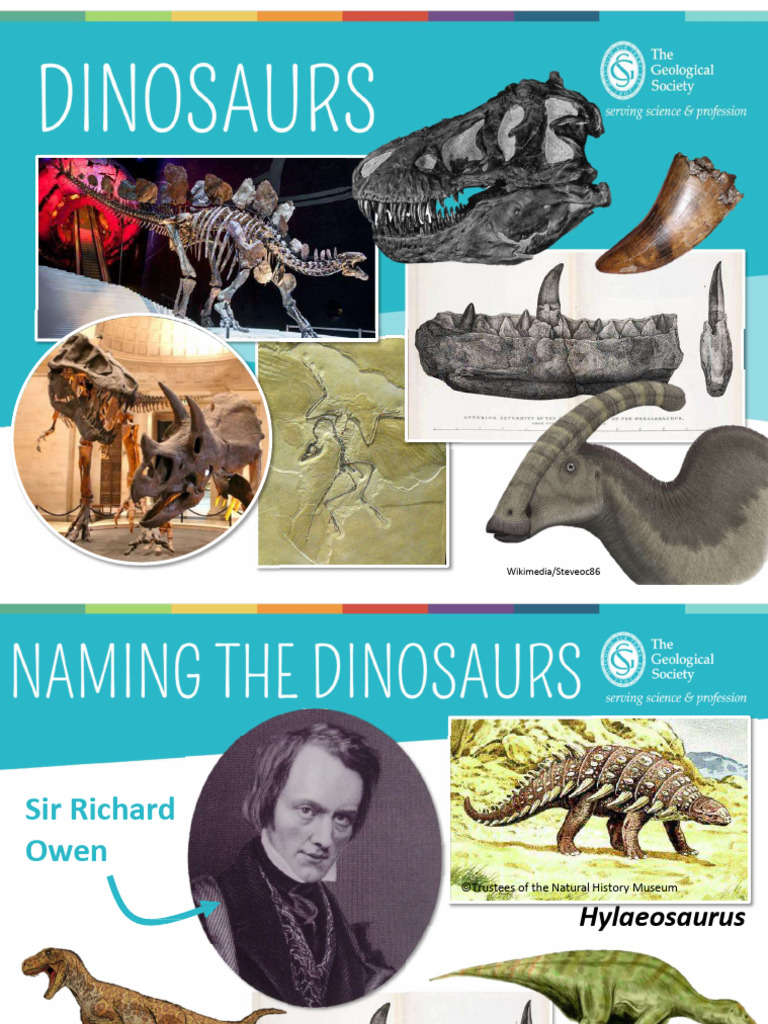 Dinosaurs: Types, Size, and Extinction | PDF