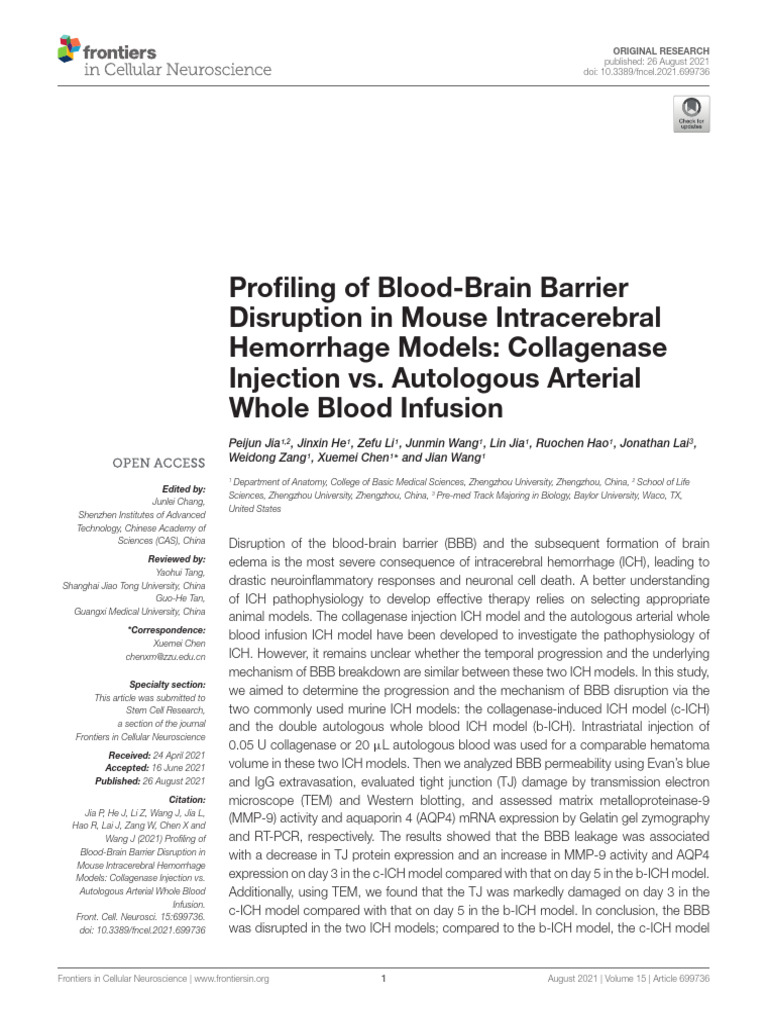 Profiling of Blood-Brain Barrier Disruption in Mouse Intracerebral ...