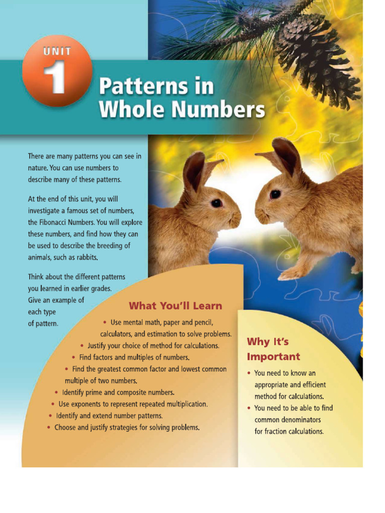 Math Book 1 | PDF