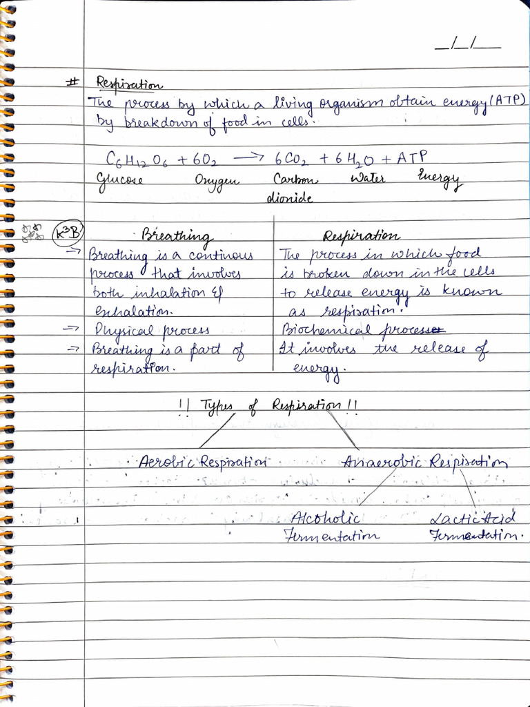 Life Processes (Respiration) | PDF
