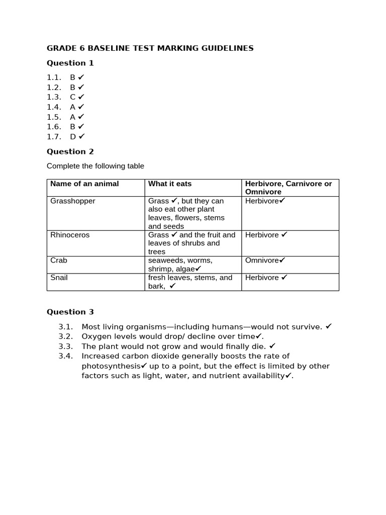 Grade 6 Test Marking Guidelines | PDF