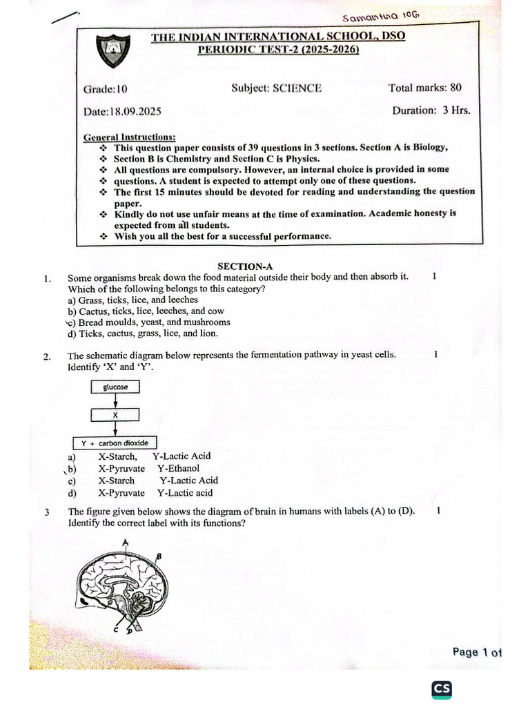 Science Grade 10 PT2 Exam Question Paper | PDF