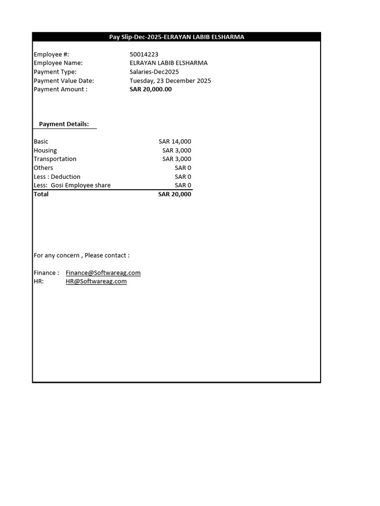 December 2025 Pay Slip for Elrayan Labib Elsharma | PDF