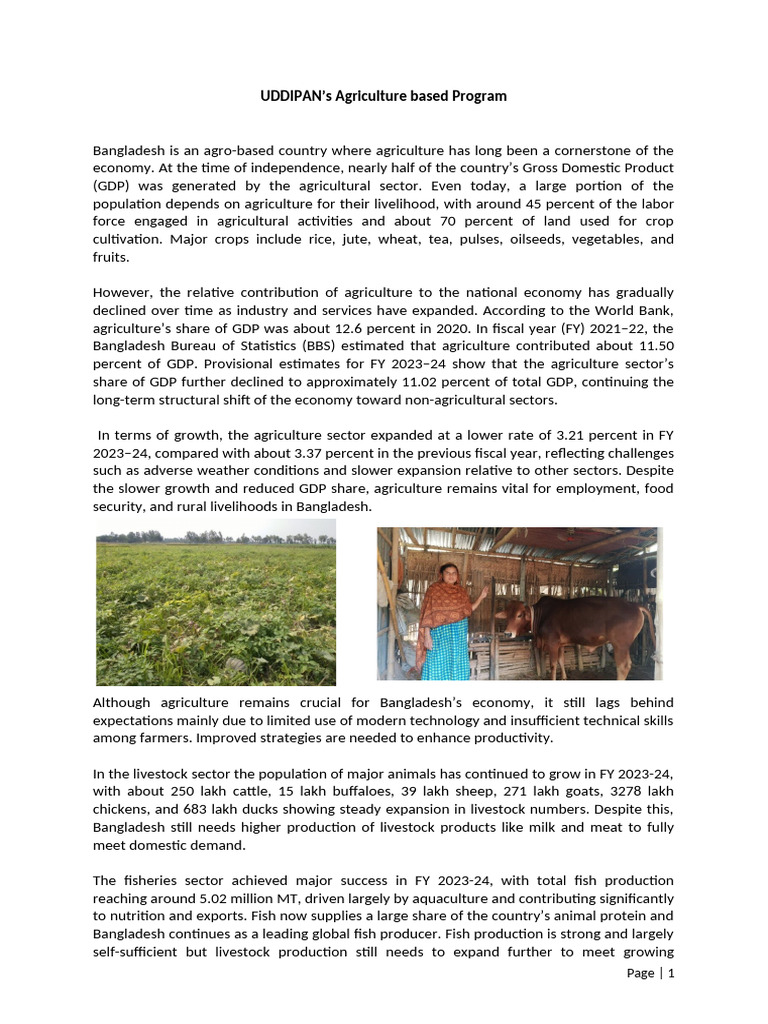 UDDIPAN's Agricultural Initiatives in Bangladesh | PDF | Agriculture ...