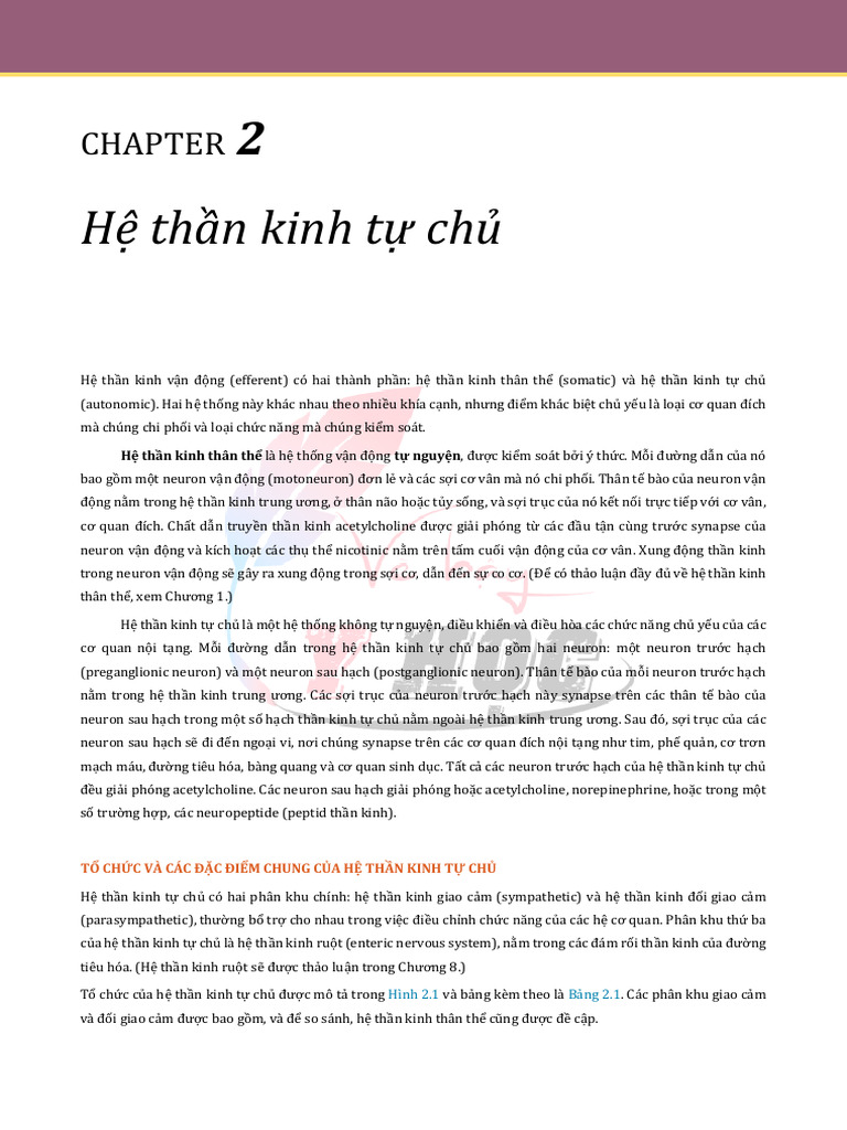 Chuong 2 Sinh Ly Than Kinh Tu Chu 2fmnid | PDF