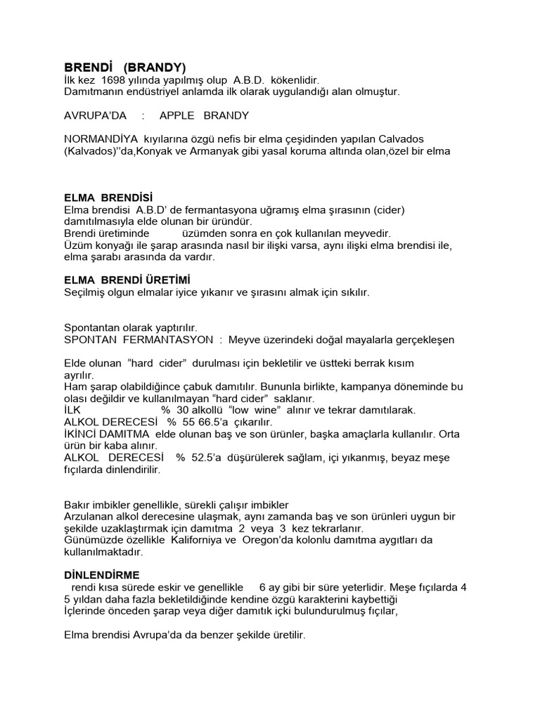 BRENDİ | PDF