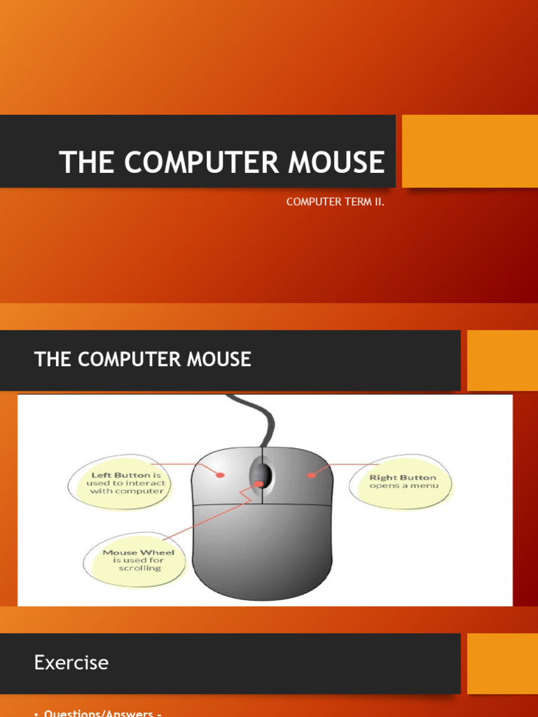 Term II Computer Class 1. | PDF | Usb Flash Drive | Computer Data Storage