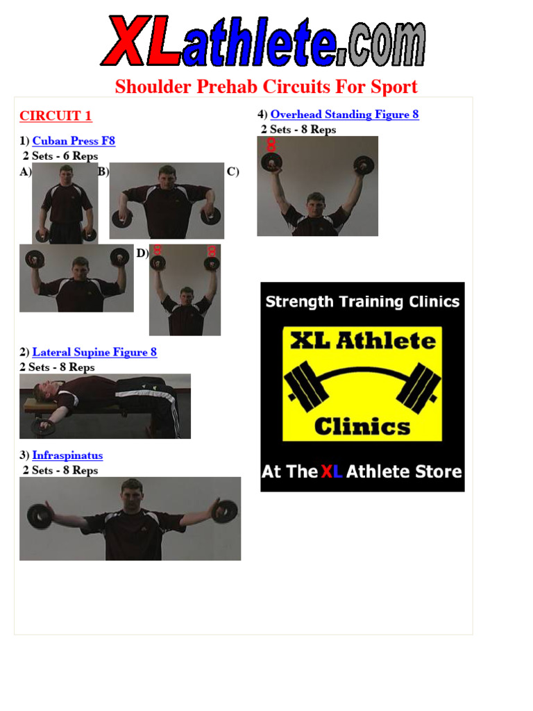 Shoulder Prehab Circuits for Athletes | PDF