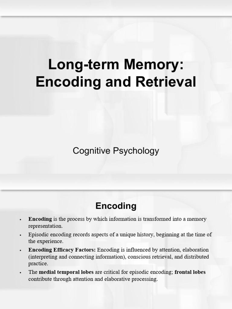 Long-term Memory: Encoding & Retrieval Insights | PDF | Recall (Memory ...