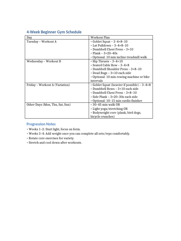 4-Week Beginner Gym Schedule | PDF