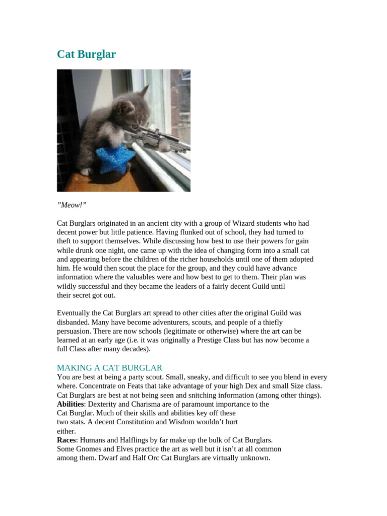 Cat Burglar | PDF | Cats