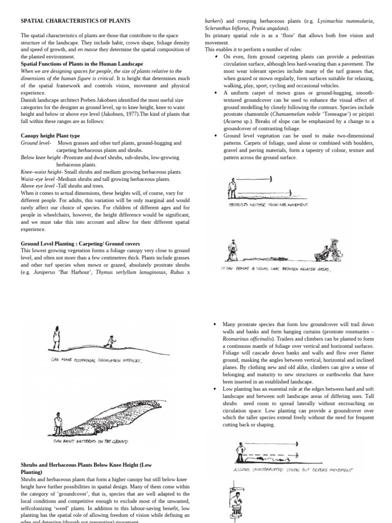 Plant Spatial Characteristics in Design | PDF | Shrub | Trees