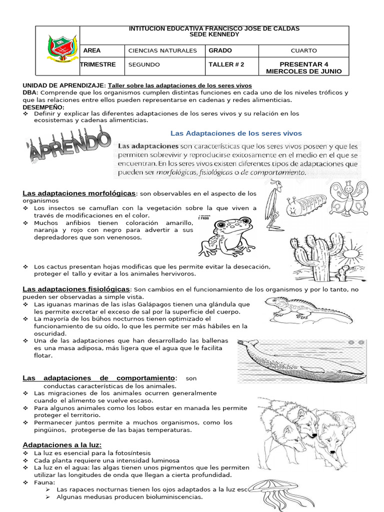 Adaptacion de Los Seres Vivos 4-01 (1) | PDF | Clima | Hoja