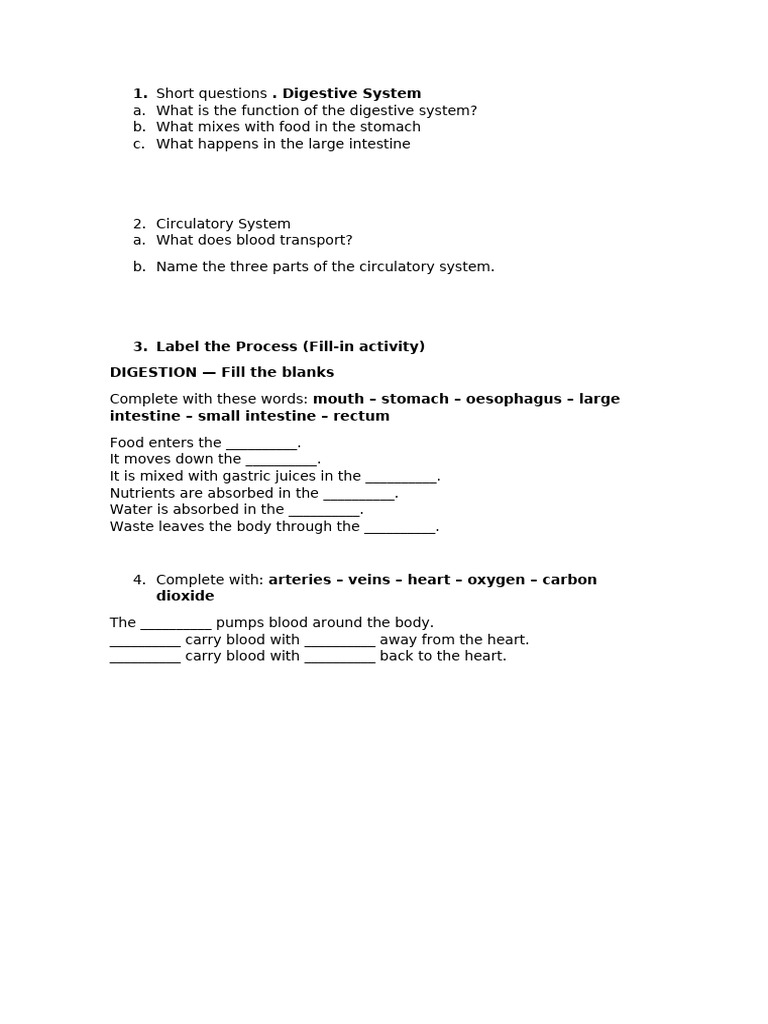 Digestive and Circulatory System Q&A | PDF