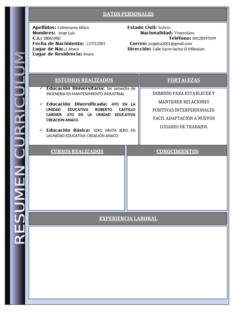 Modelo de Curriculum Personal (2018) | PDF