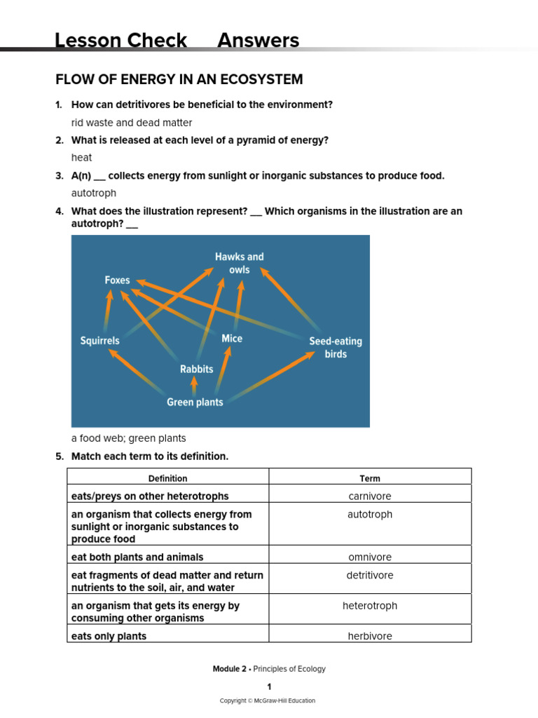 2.2 Flow of Energy in an Ecosystem Lesson Check AK | PDF