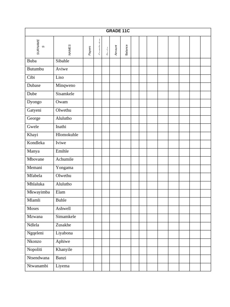 Grade 11c 2025 | PDF