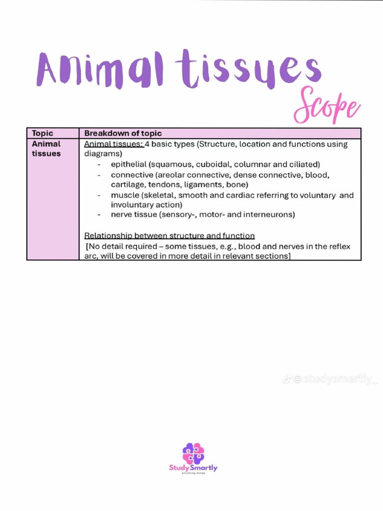 Animal Tissues 31-Oct-2025 17-12-52 | PDF