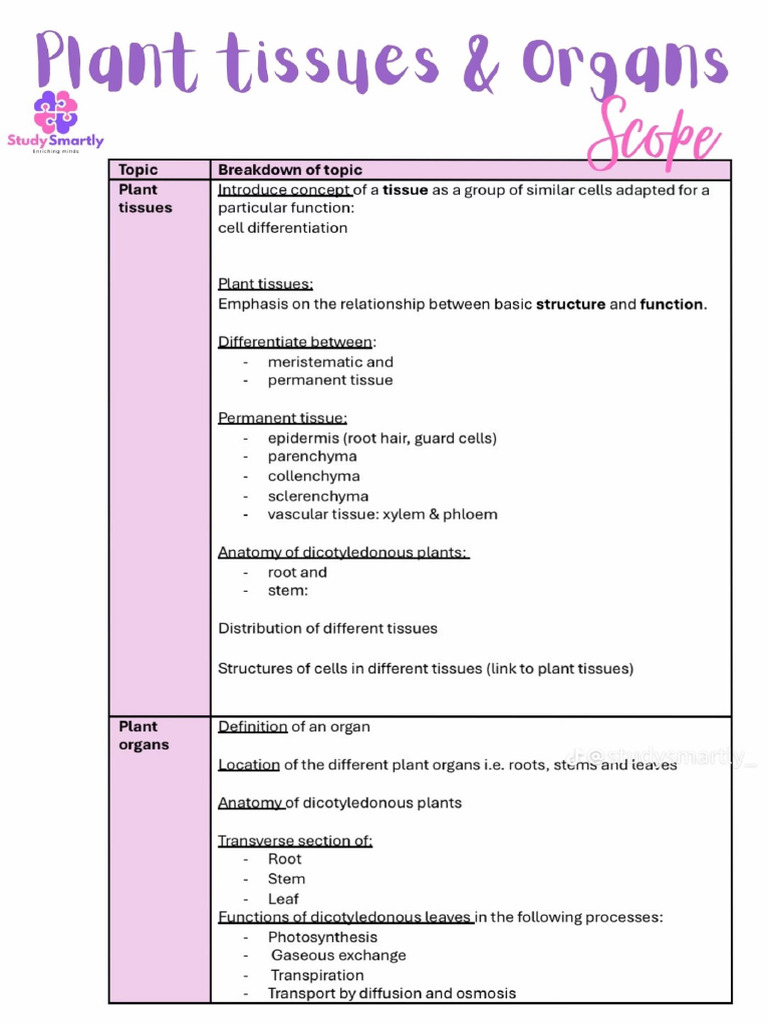 Plant Tissues and Organs 31-Oct-2025 16-28-55 | PDF