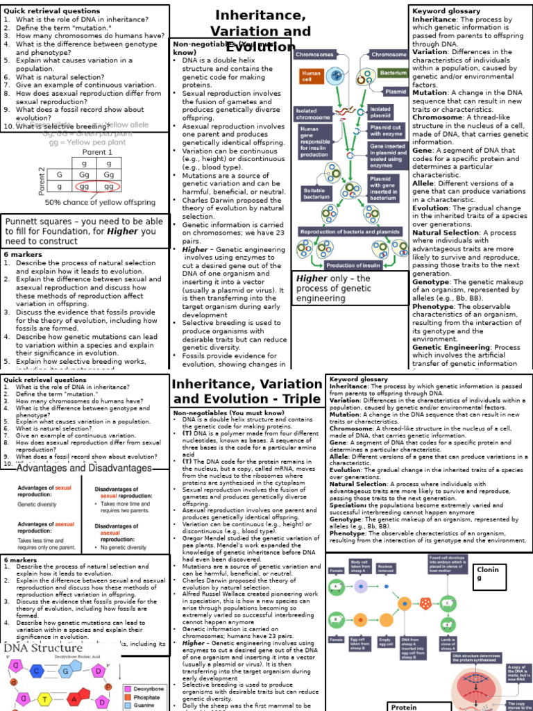 7. Inheritance Variation and Evolution | PDF | Genetics | Evolution
