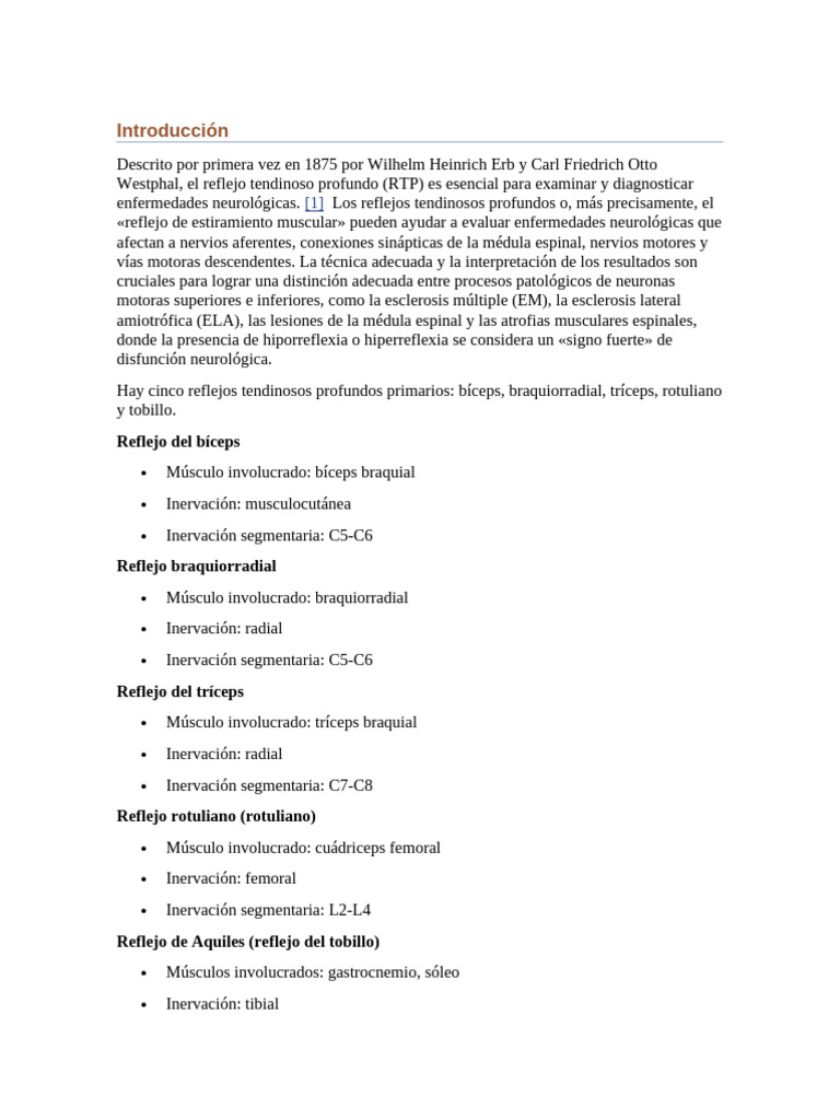 Reflejos Tendinosos Profundos: Evaluación y Técnica | PDF | Neurona ...
