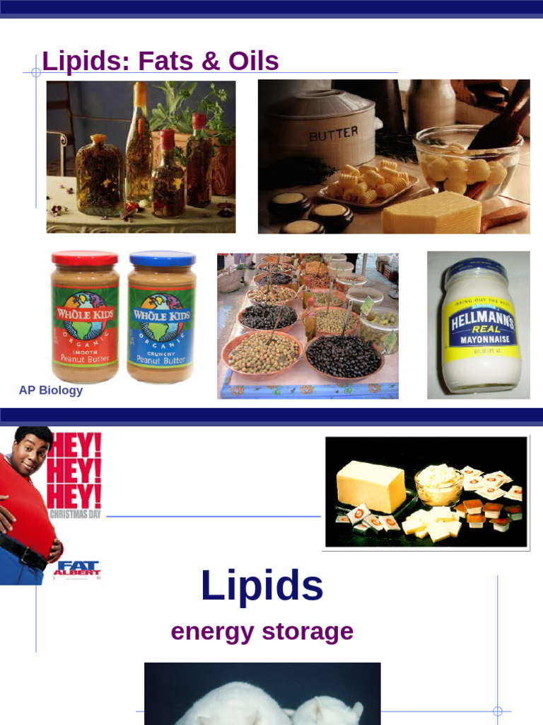 Chapter 5 Lipids | PDF | Lipid | Fatty Acid