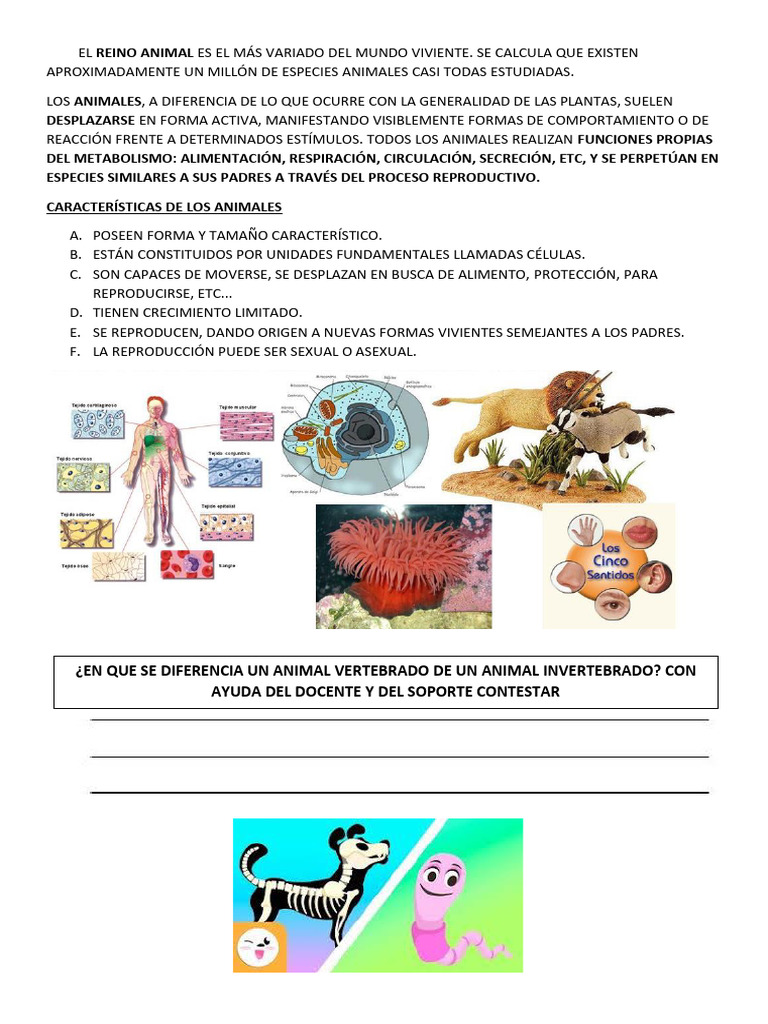 CIENCIAS NAT. VERTEBRADOS-INVER PARTE 2 | PDF | Invertebrado | Vertebrados