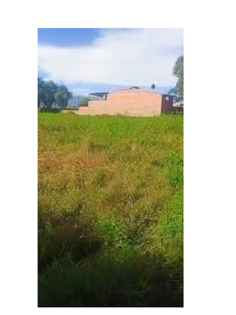 Documento (14) | PDF