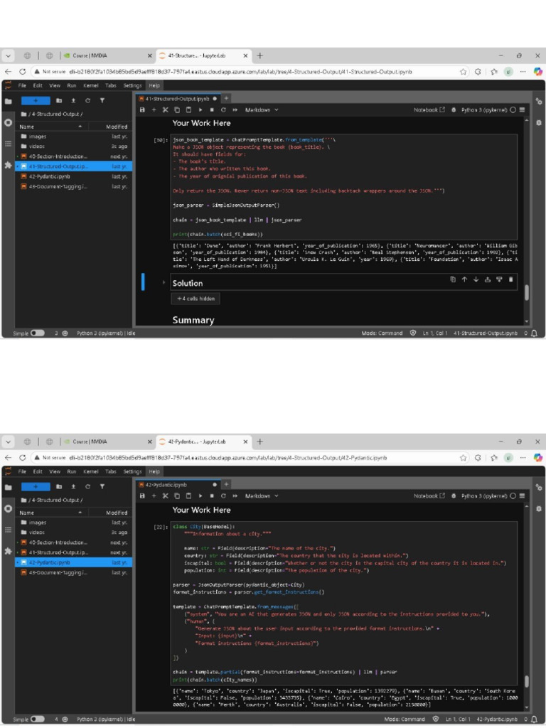 4 Structured Output | PDF