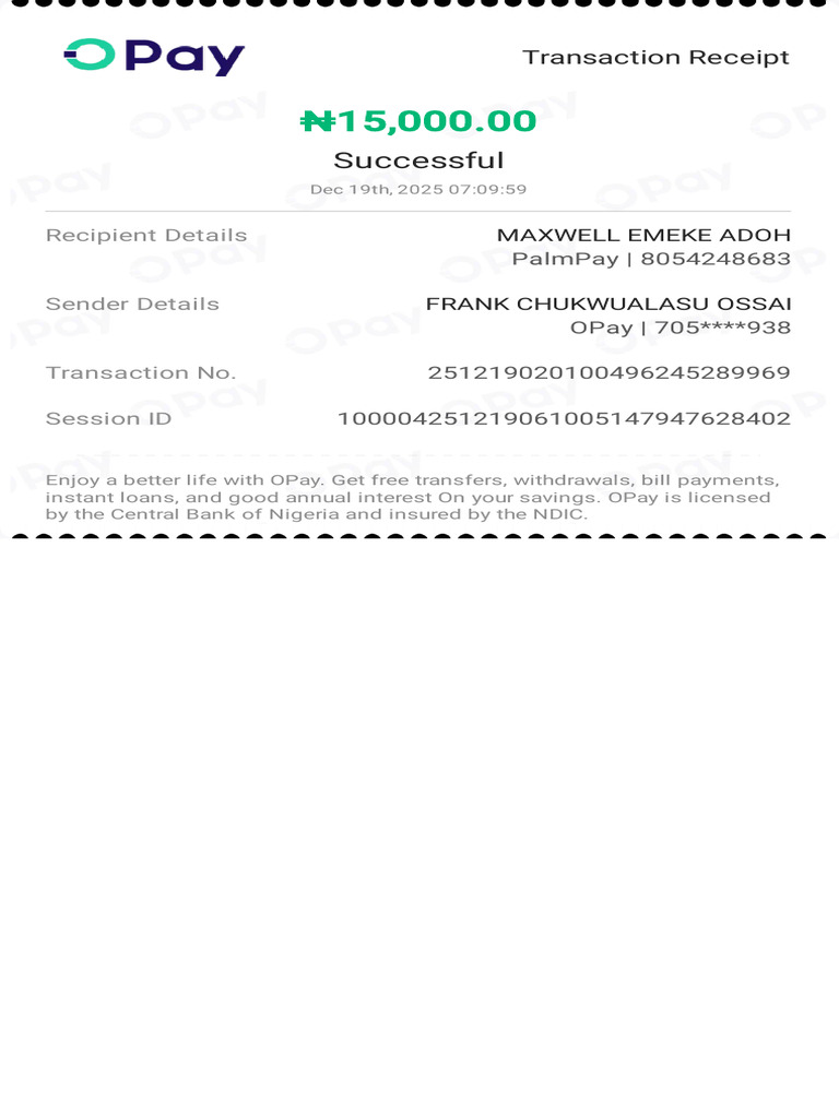 Successful OPay Transaction Receipt | PDF