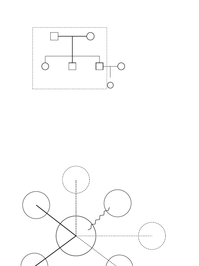 Katz Family Genogram Ecomap | PDF | Cardiology | Cardiovascular System