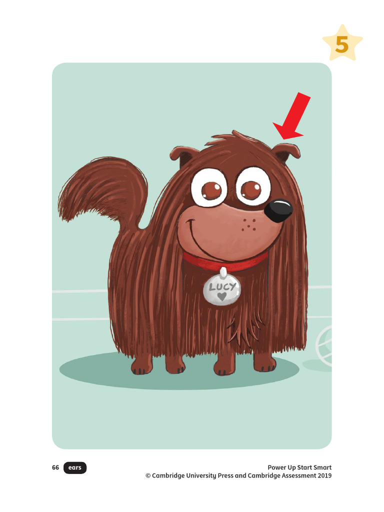 Power Up Start Smart Flashcards (Unit 5) | PDF