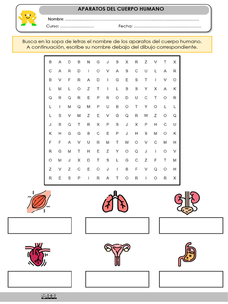 Sopa de Letras: Aparatos del Cuerpo Humano | PDF