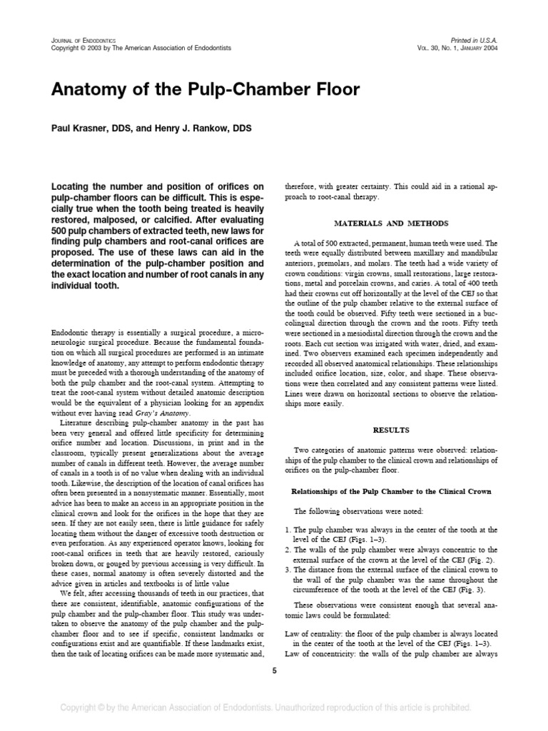 (01) Anatomy of the Pulp-chamber Floor | PDF | Dental Anatomy | Human Tooth