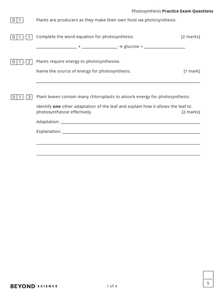 Photosynthesis Exam Questions for KS3 | PDF | Photosynthesis | Plants