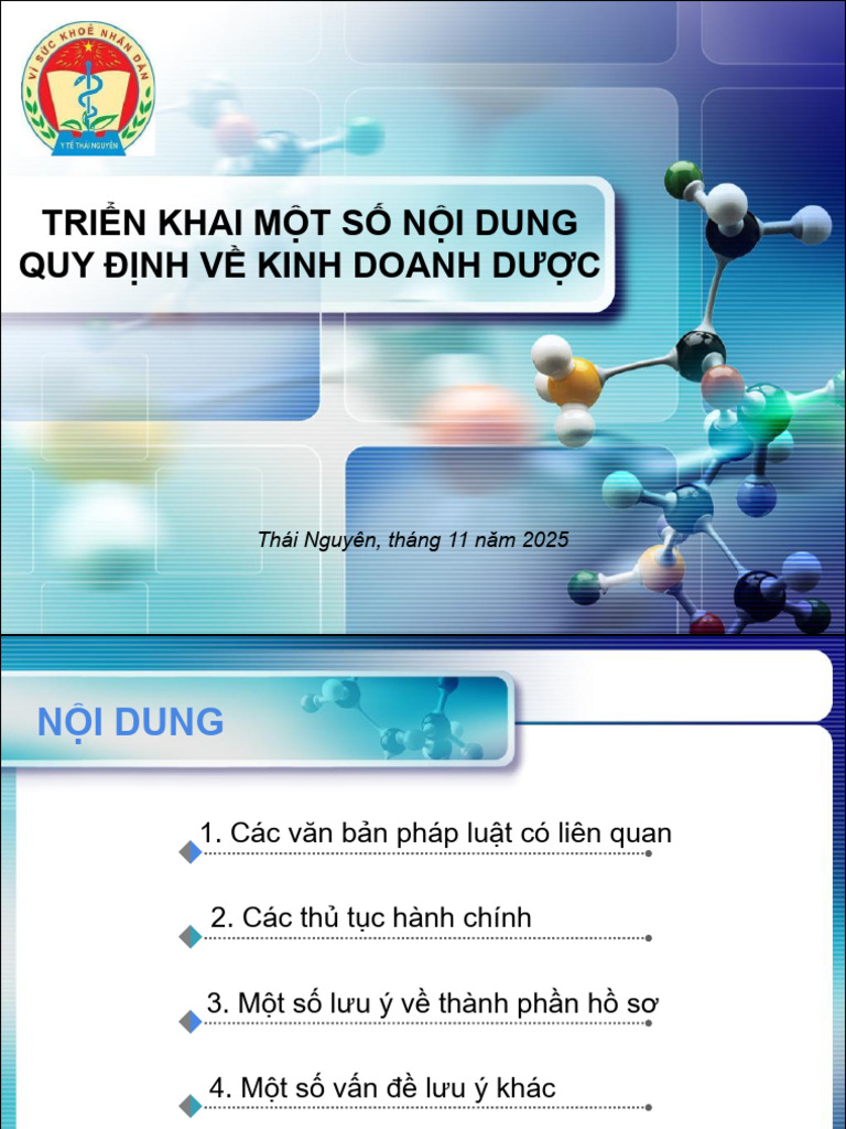 20251110. GDP.GPP | PDF