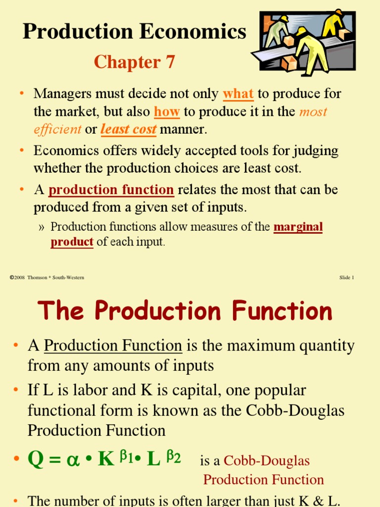 Chap 7 | PDF | Production Function | Labour Economics
