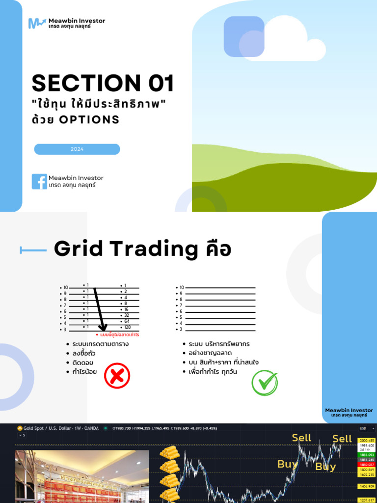 Options Class 0524 Section 01 Demo | PDF