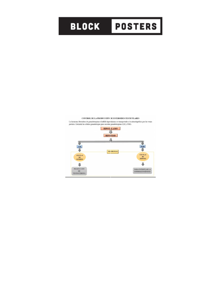 blockposter-160740 | PDF