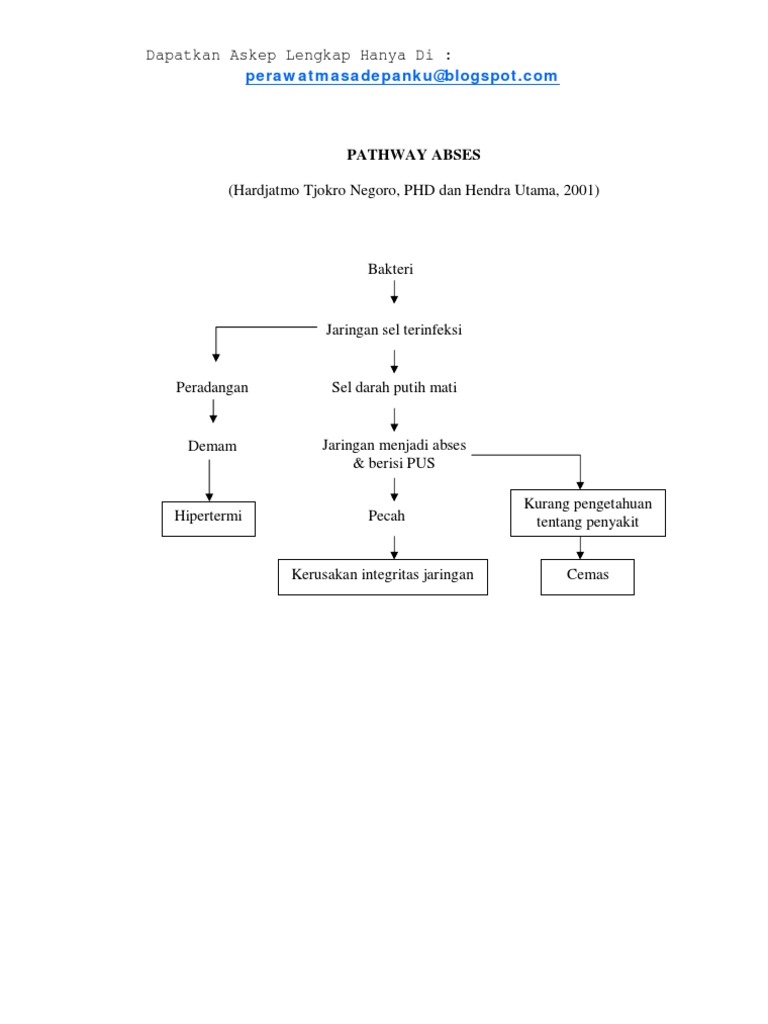 Pathway Abses | PDF