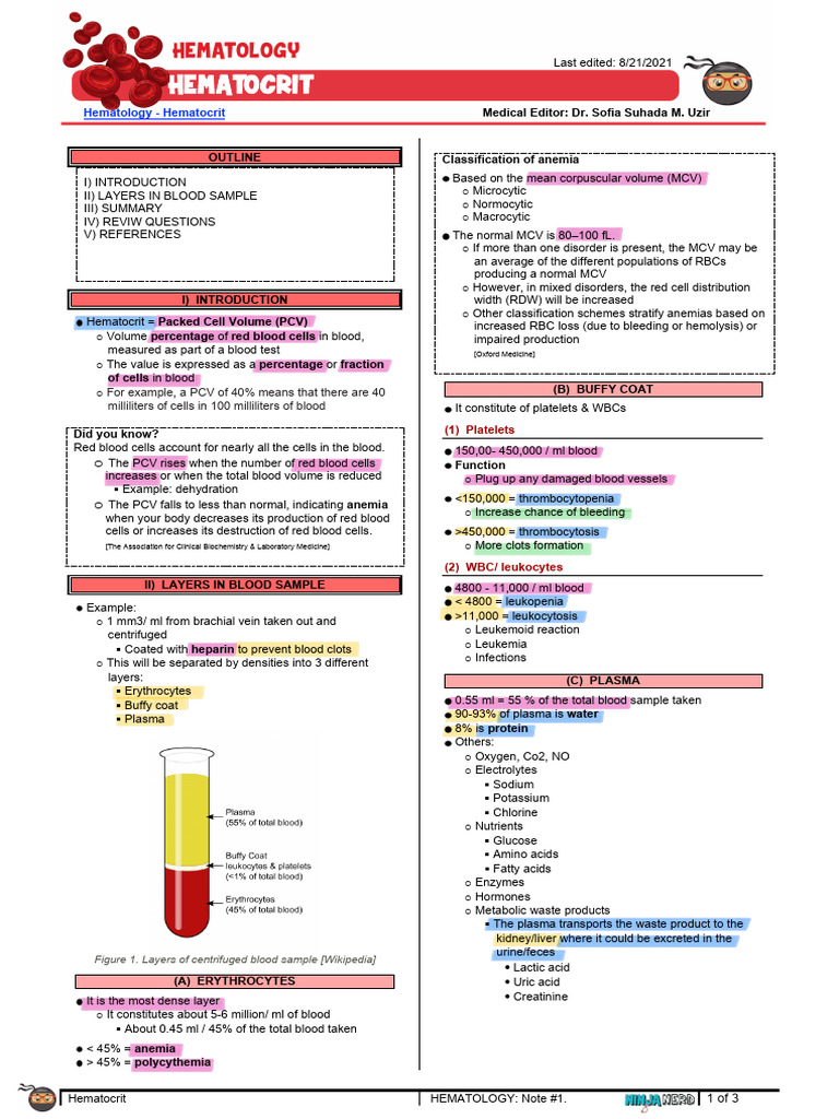Understanding Hematocrit and Blood Layers | PDF | White Blood Cell ...