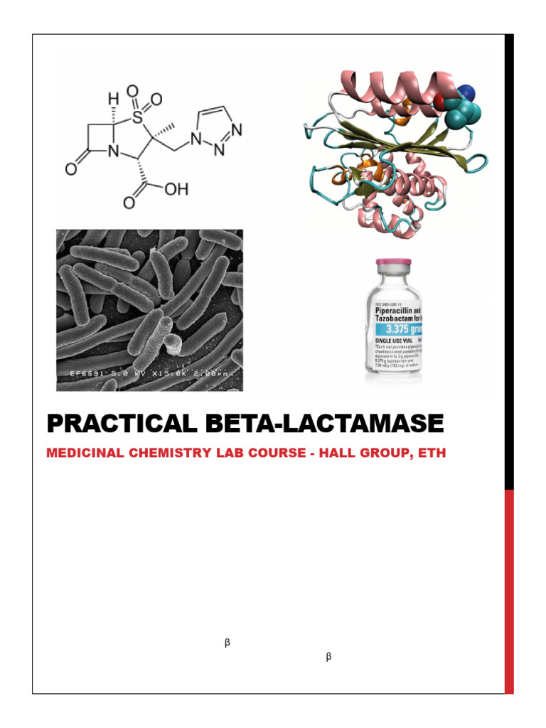 Understanding β-Lactamase Resistance | PDF | Enzyme Kinetics | Enzyme ...
