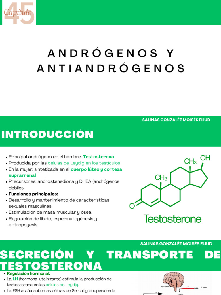 Andrógenos y Testosterona: Funciones y Efectos | PDF | Testosterona ...